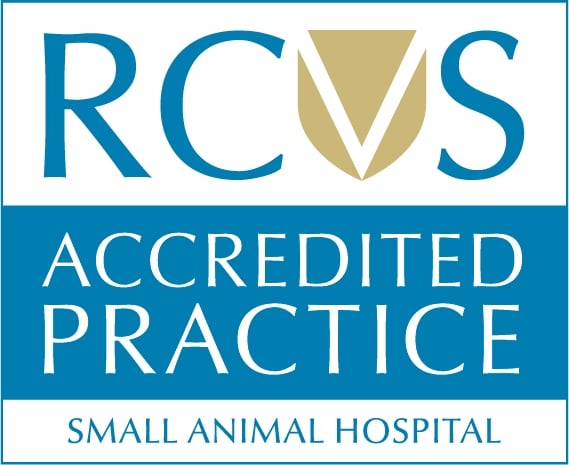 North West Specialists | Veterinary Referrals | Runcorn | Hospital