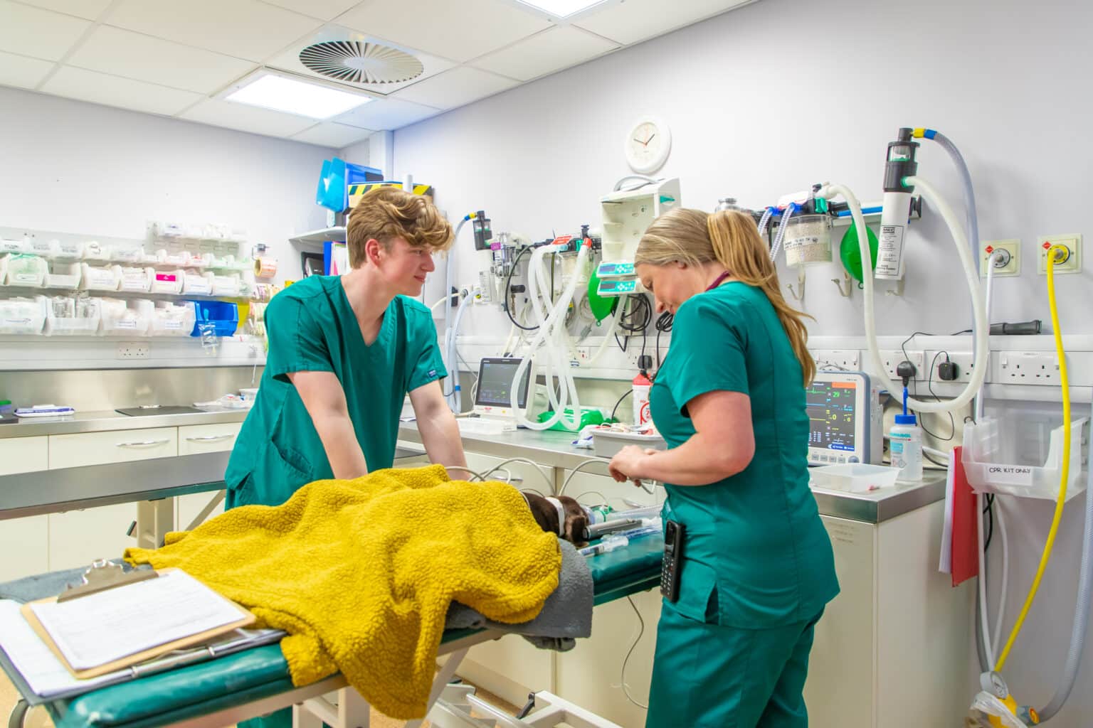 Soft Tissue Surgery | NW Specialists